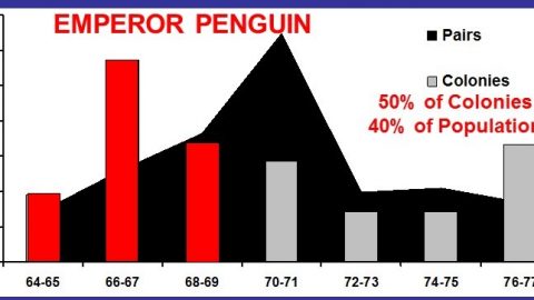 Climate_Change_and_Penguins | Penguin Science