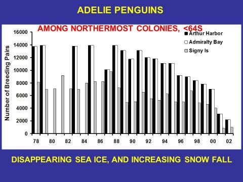 Climate_Change_and_Penguins_2 | Penguin Science