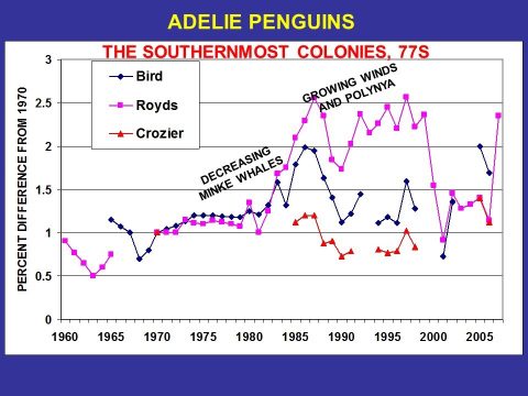 Climate_Change_and_Penguins | Penguin Science
